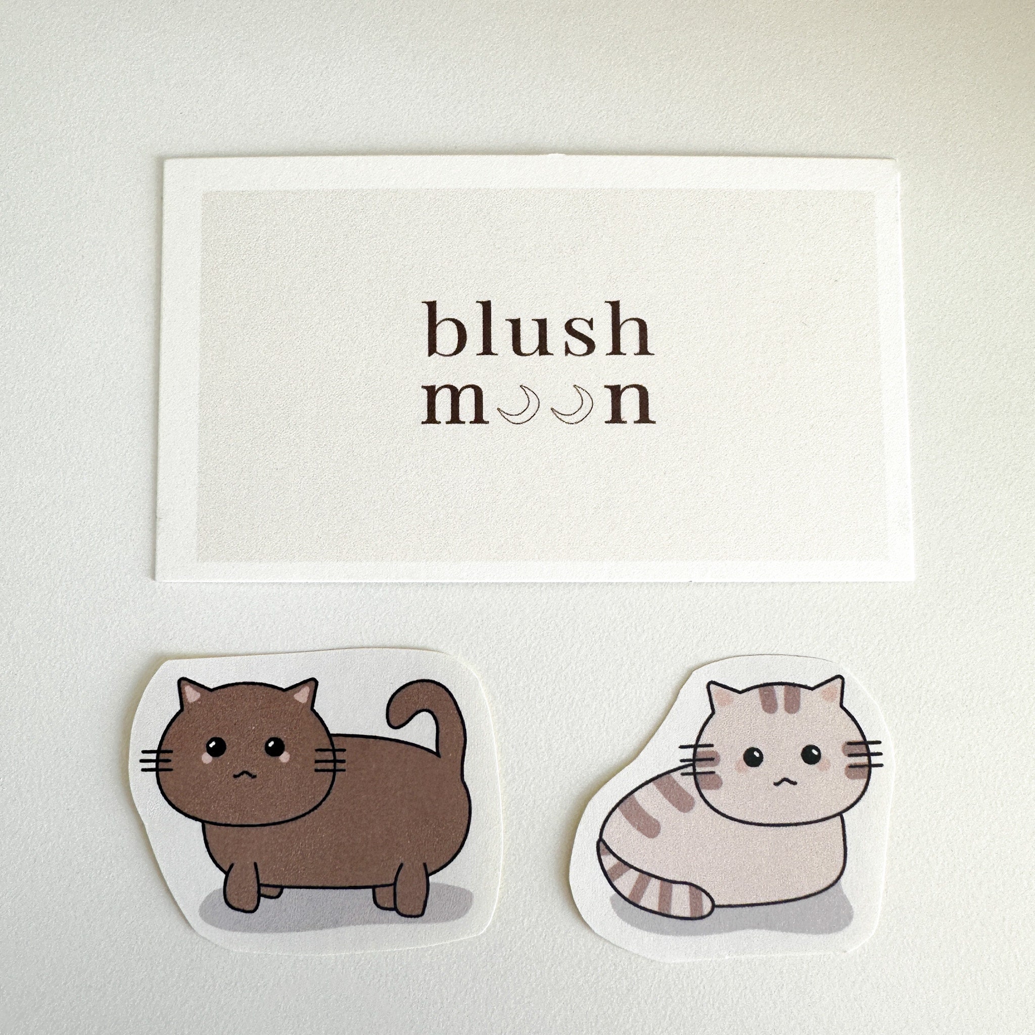Aesthetic Kawaii Cat Kitten Sticker Matte - Etsy