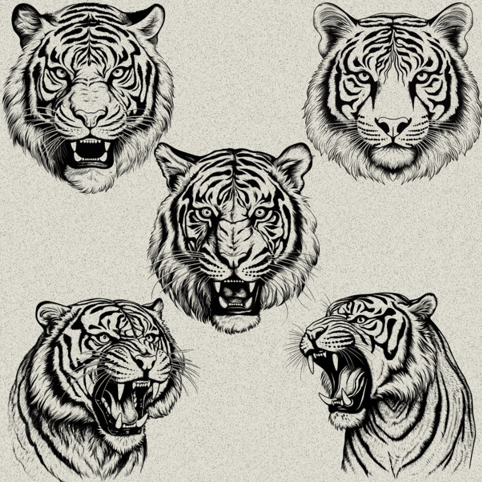 34 Tiger Bundle Detailed PNG and SVG Files Great for Laser Engraving or ...