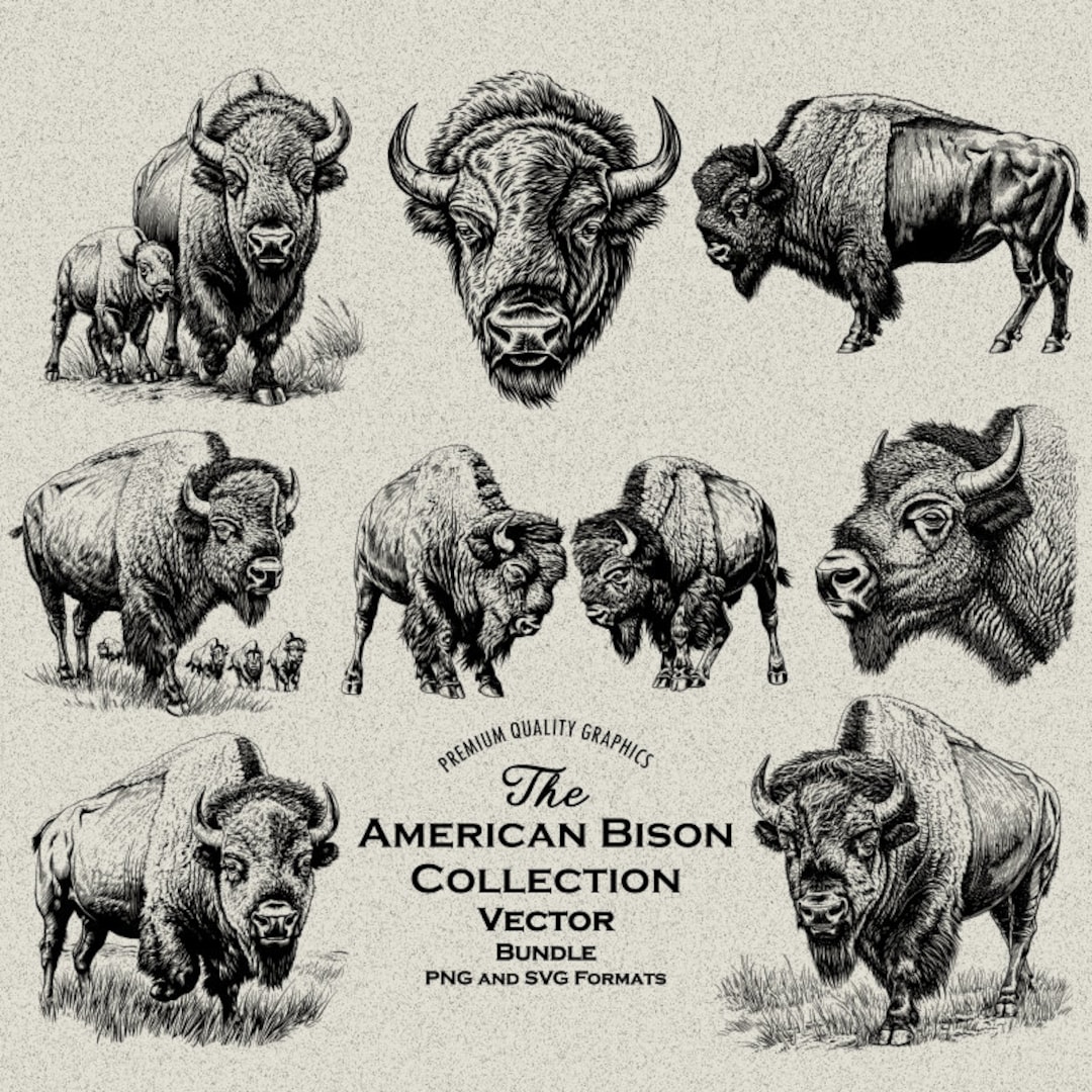 34 American Bison Designs Bundle PNG & SVG Digital for Laser Engraving ...