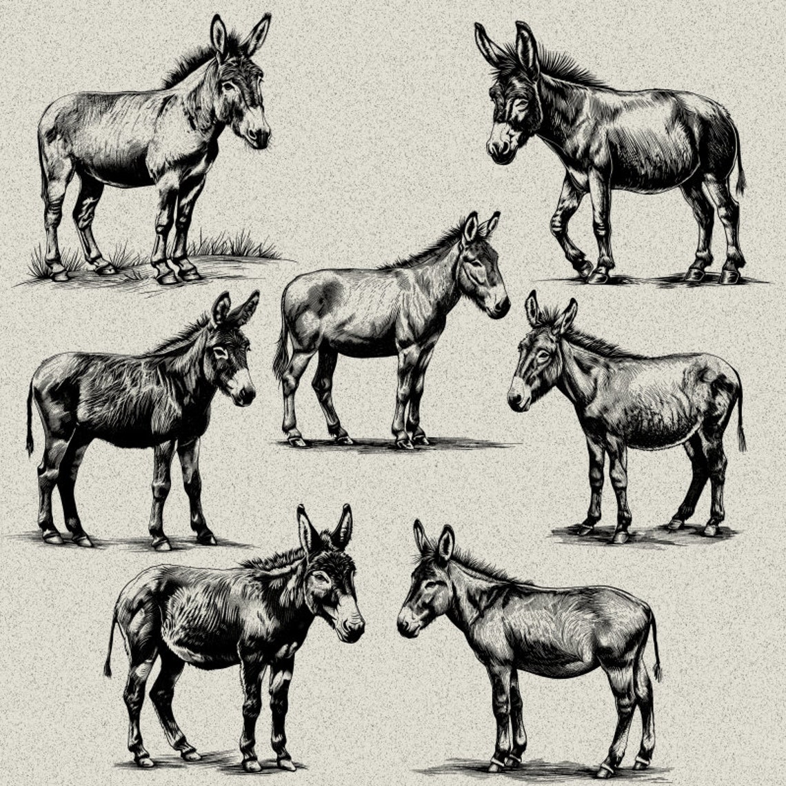 28 Donkey and Mule Bundle SVG & PNG for Laser Engraving or Print, Farm ...