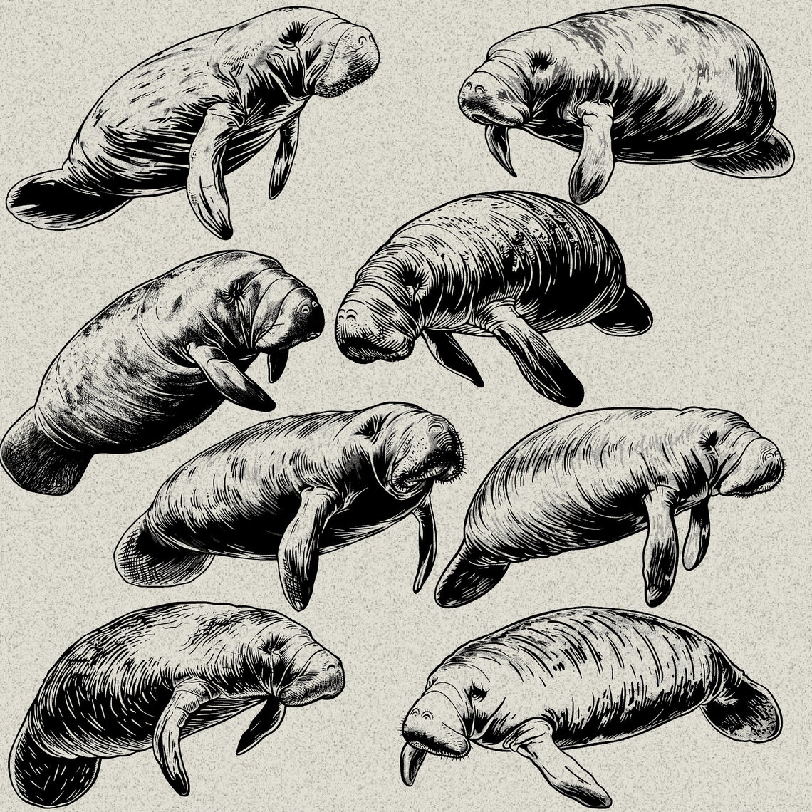 25 Manatee Designs Bundle PNG & SVG Digital for Laser Engraving or ...
