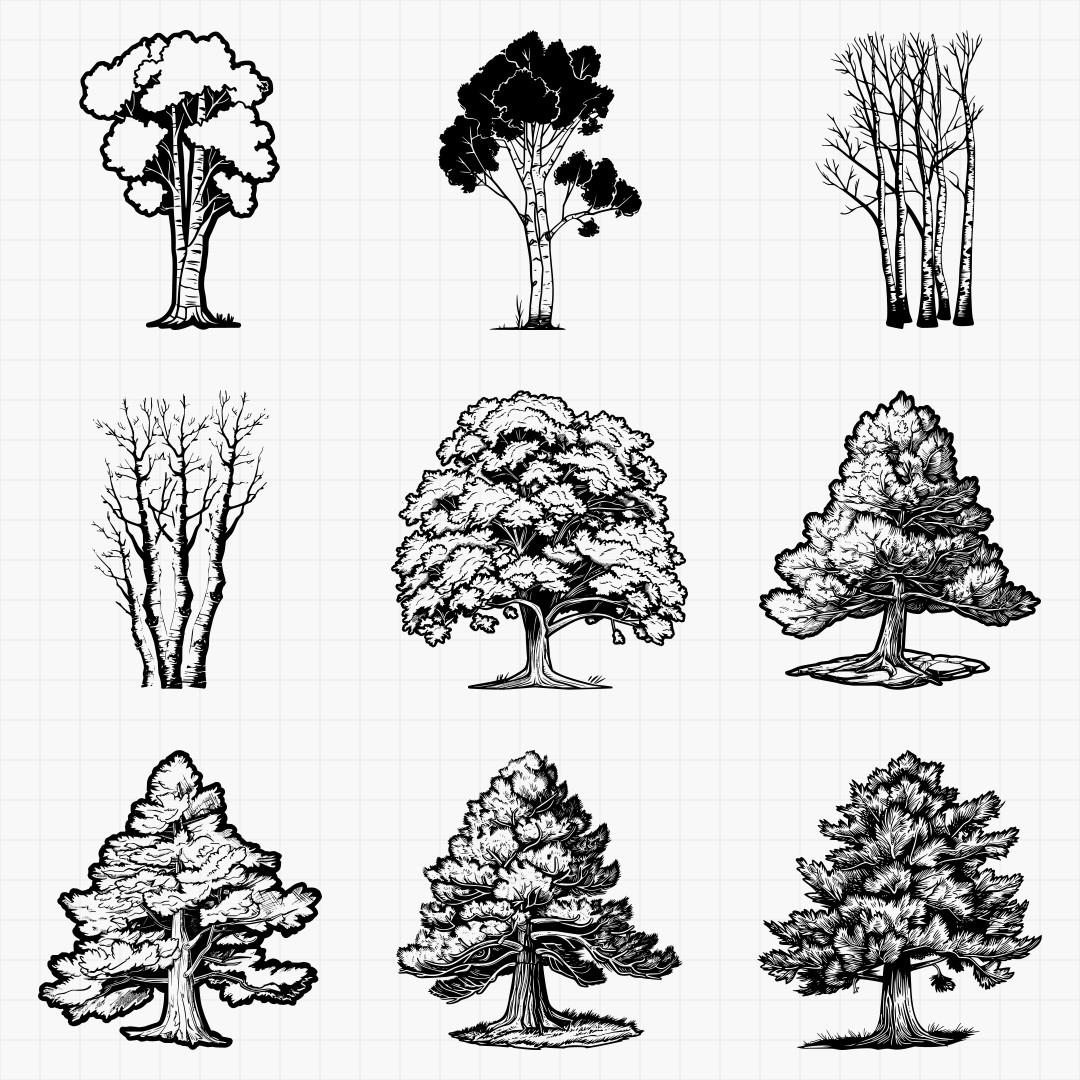 Tree SVG & PNG Bundle Designs for Laser Engraving, Print-on-demand, Oak ...