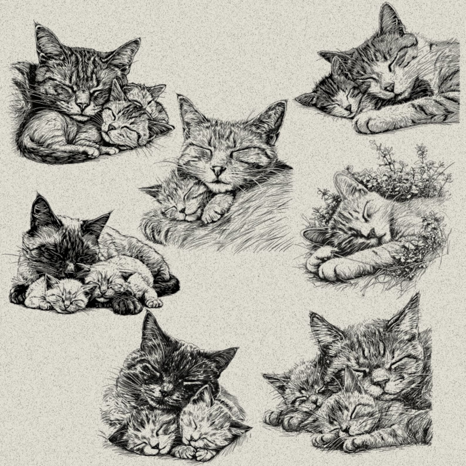 50 Cat and Kitten Designs Bundle PNG & SVG for Laser Engraving or Print ...