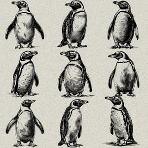 33 Penguin Designs Bundle PNG & SVG Digital for Laser Engraving or ...
