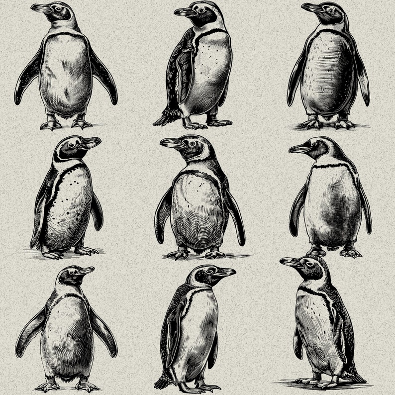 33 Penguin Designs Bundle PNG & SVG Digital for Laser Engraving or ...