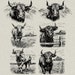 36 Bull Designs Bundle PNG & SVG for Laser Engraving or Print, Texas ...