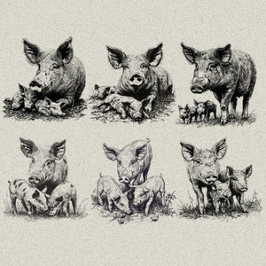 42 Pig Designs Bundle PNG & SVG for Laser Engraving or Print, Piglet ...