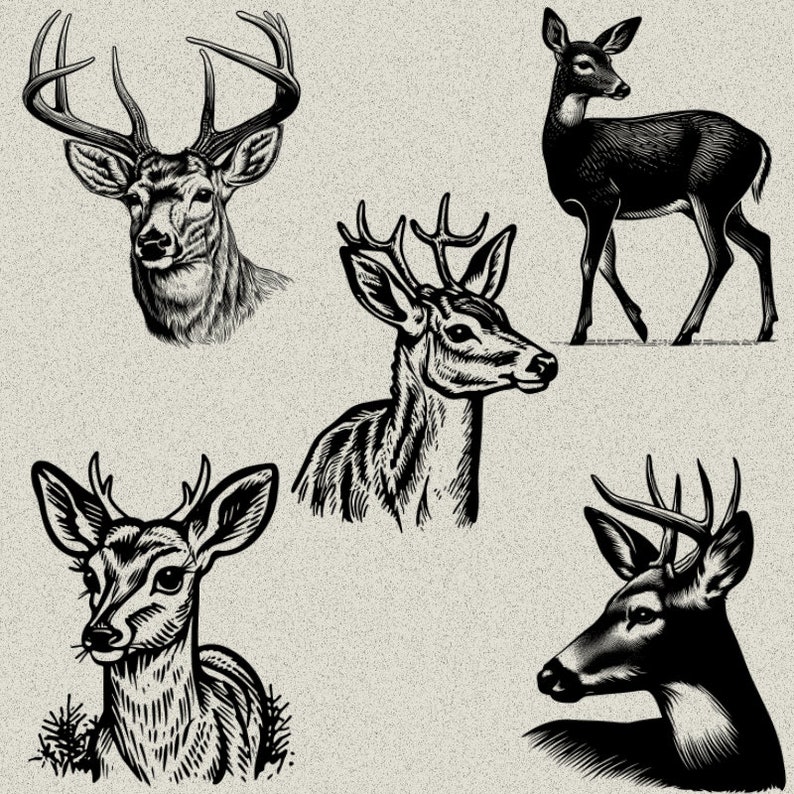 35 White Tail Deer Design Bundle SVG-PNG Detail Designs for Laser ...
