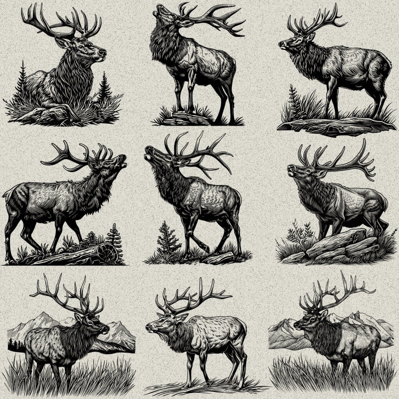 34 Elk Designs Bundle SVG & PNG for Laser Engraving or Print Bull Elk ...