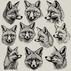 47 Fox Designs Bundle PNG & SVG Digital for Laser Engraving or Print ...