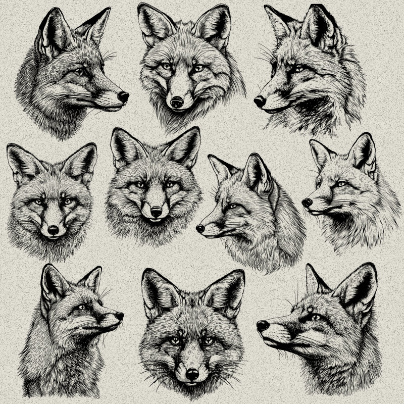 47 Fox Designs Bundle PNG & SVG Digital for Laser Engraving or Print ...