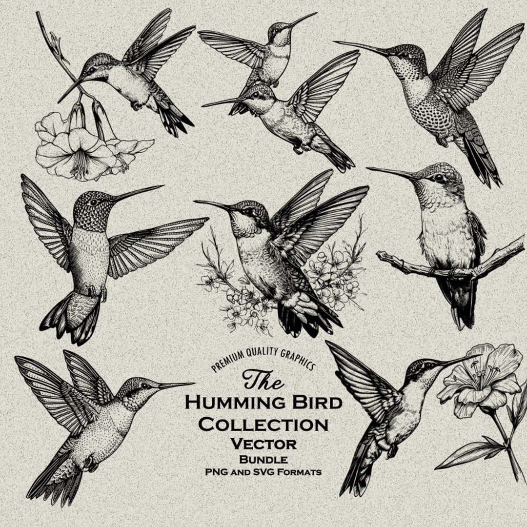 36 Humming Bird Designs Bundle PNG & SVG Digital for Laser Engraving or ...
