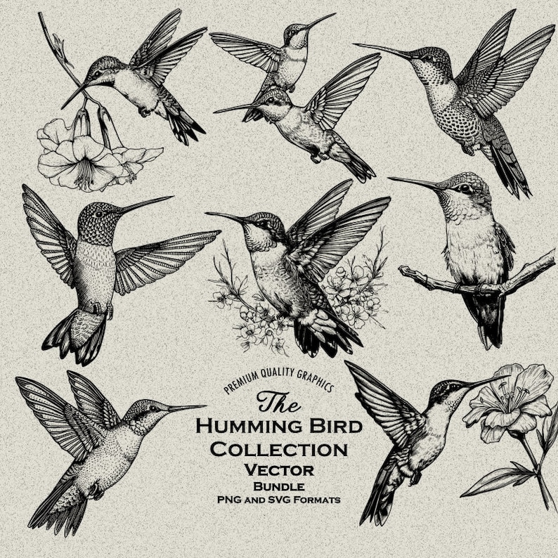 36 Humming Bird Designs Bundle PNG & SVG Digital for Laser Engraving or ...