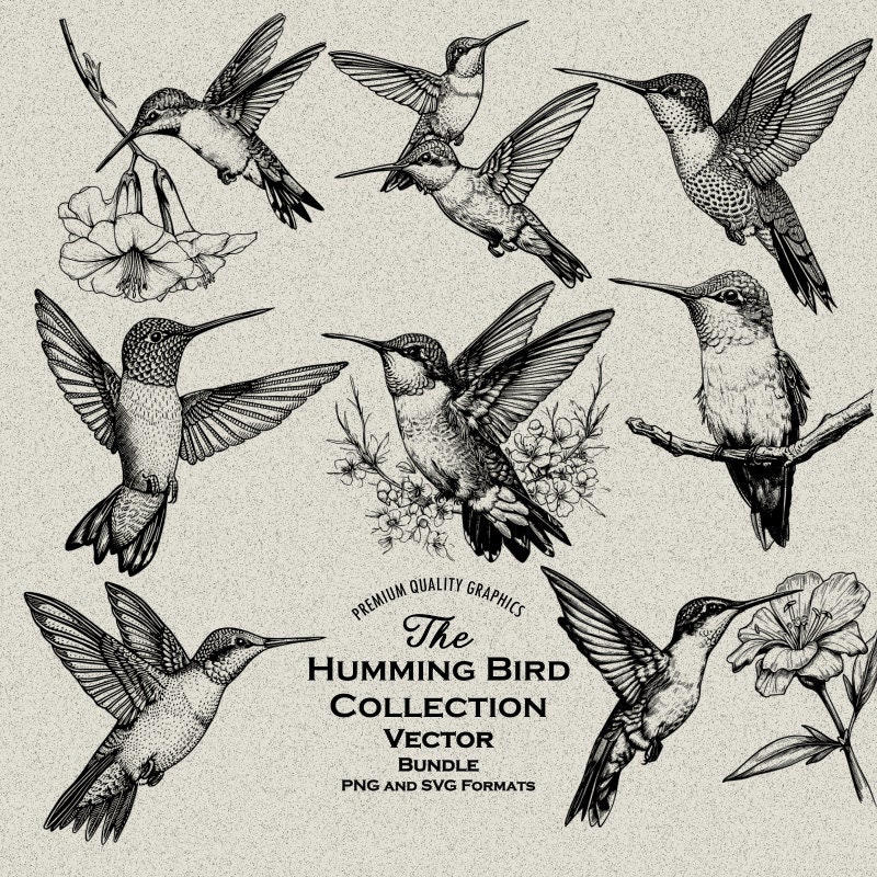 36 Humming Bird Designs Bundle PNG & SVG Digital for Laser Engraving or ...