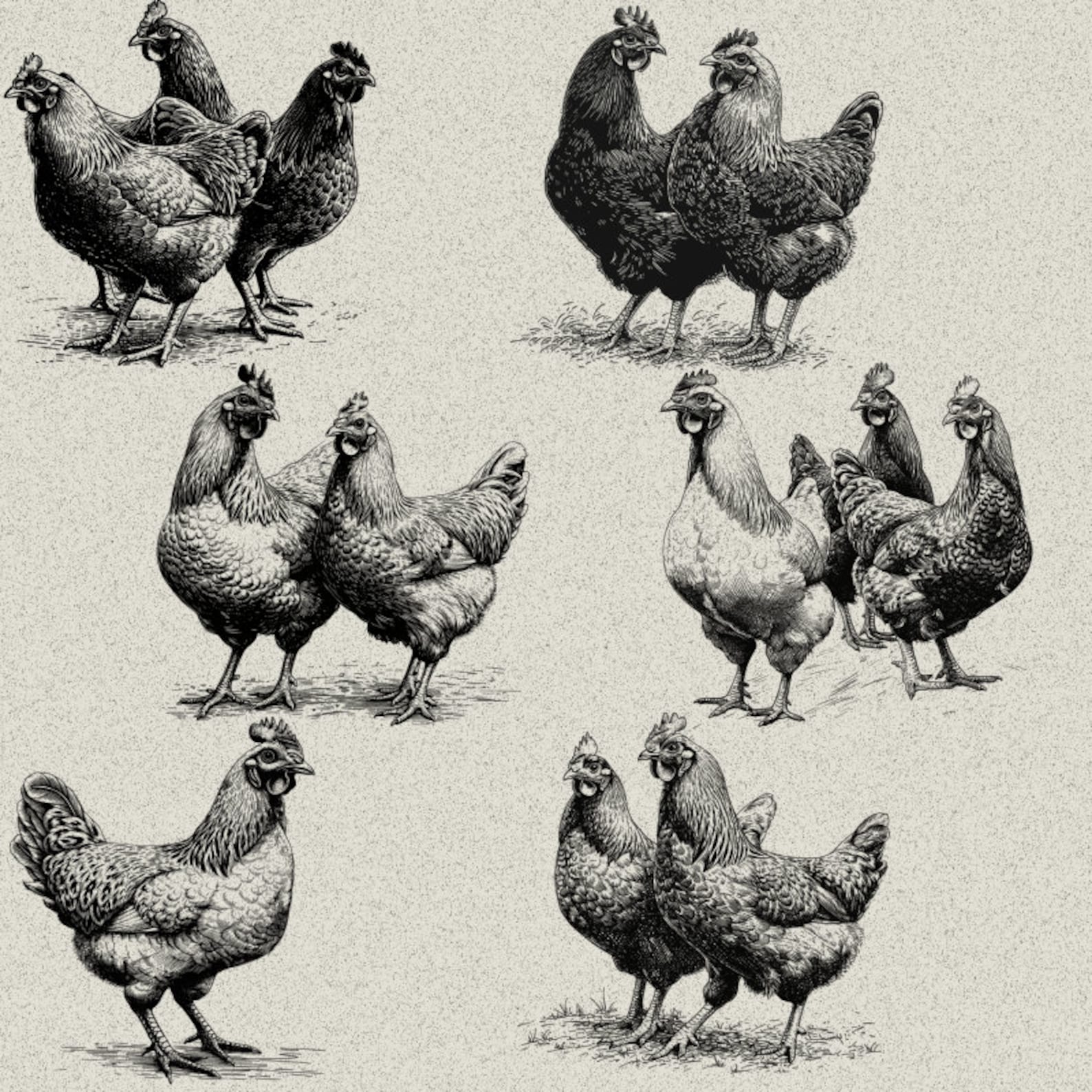40 Chicken Designs Bundle PNG & SVG for Laser Engraving or Print, Chick ...