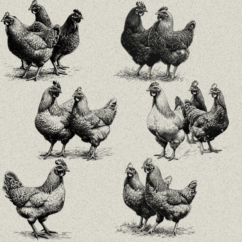 40 Chicken Designs Bundle PNG & SVG for Laser Engraving or Print, Chick ...