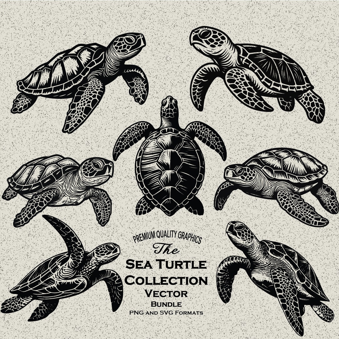34 Sea Turtle Graphics SVG and PNG Bundle: Laser Engraver and Print ...