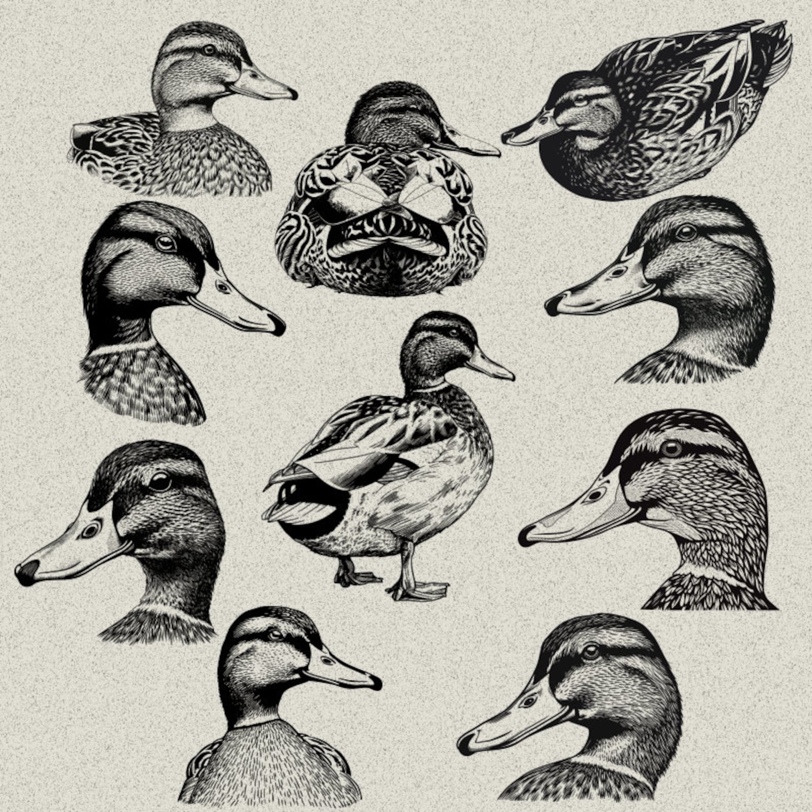 62 Duck Designs Bundle PNG & SVG Digital for Laser Engraving or Print ...