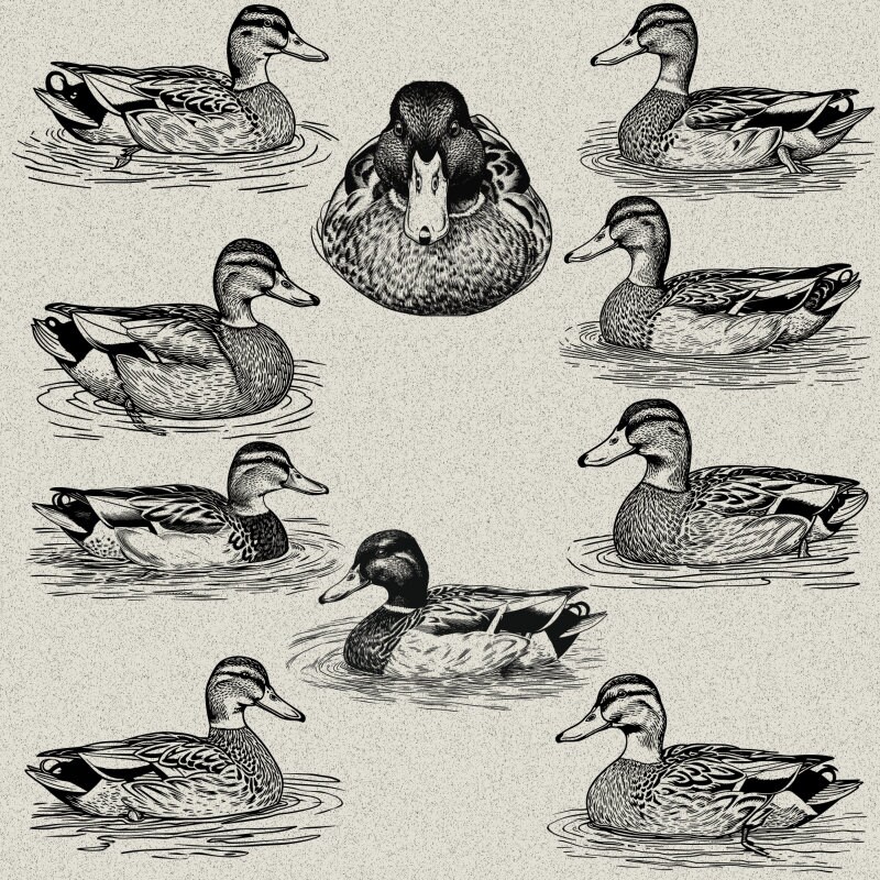 62 Duck Designs Bundle PNG & SVG Digital for Laser Engraving or Print ...