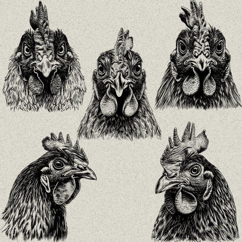 40 Chicken Designs Bundle PNG & SVG for Laser Engraving or Print, Chick ...
