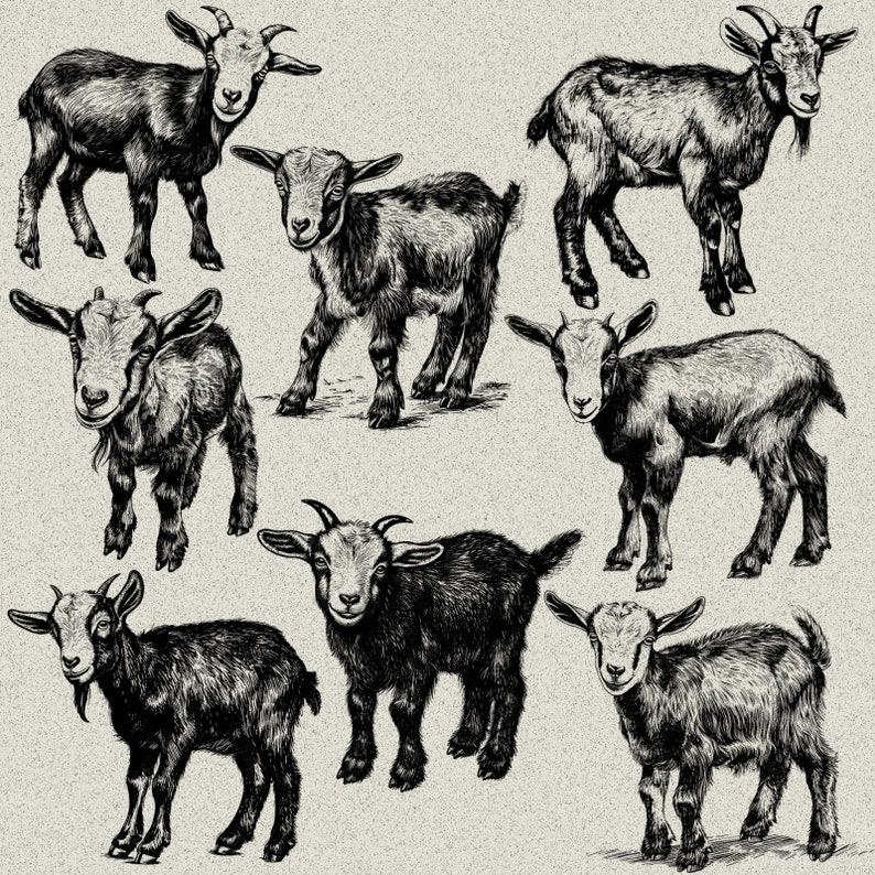 45 Goat Designs Bundle PNG & SVG Digital for Laser Engraving or Print ...