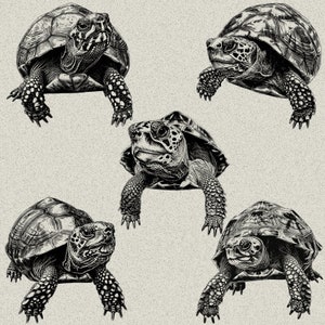 36 Turtle Designs Bundle PNG & SVG for Laser Engraving or Print ...