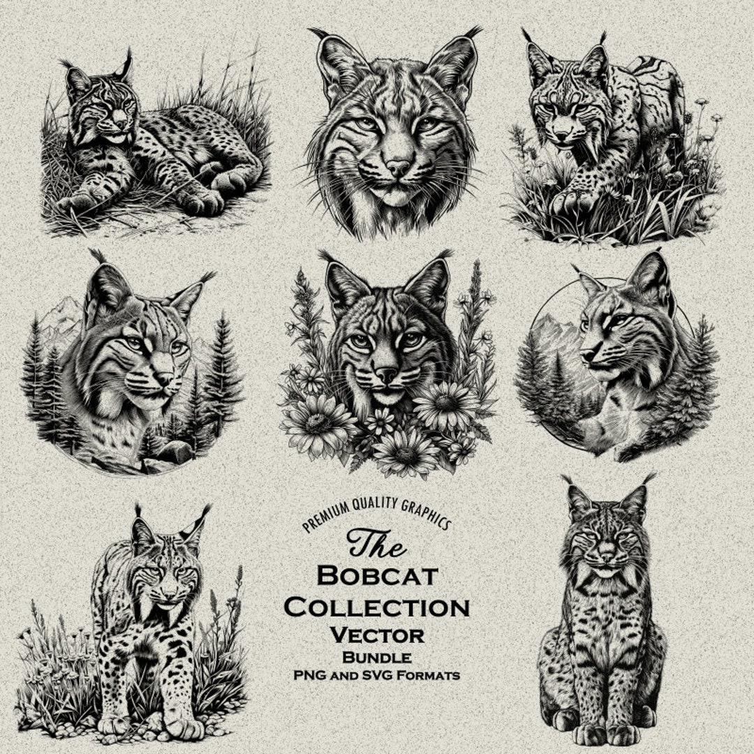 36 Bobcat, Lynx, Wildcat Detailed Designs Bundle PNG & SVG for Laser ...