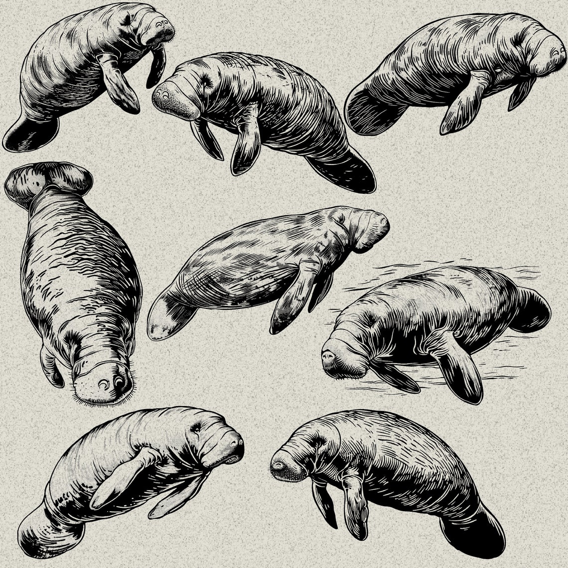 25 Manatee Designs Bundle PNG & SVG Digital for Laser Engraving or ...