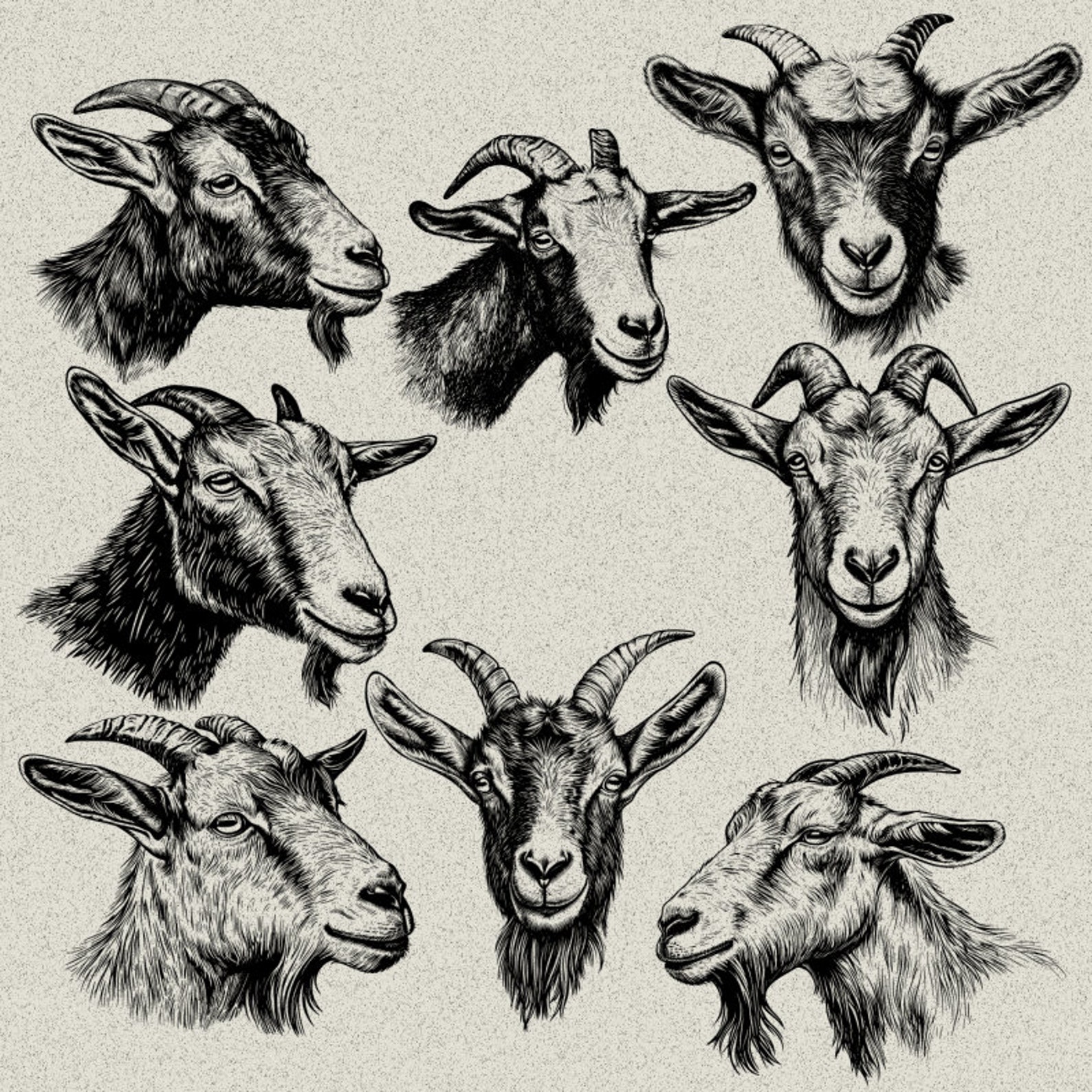 45 Goat Designs Bundle PNG & SVG Digital for Laser Engraving or Print ...