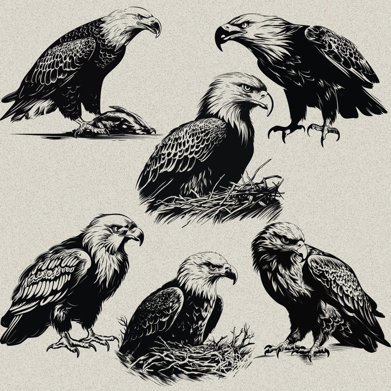 32 Eagle Design Bundle SVG-PNG Detail Designs for Laser Engraving and ...