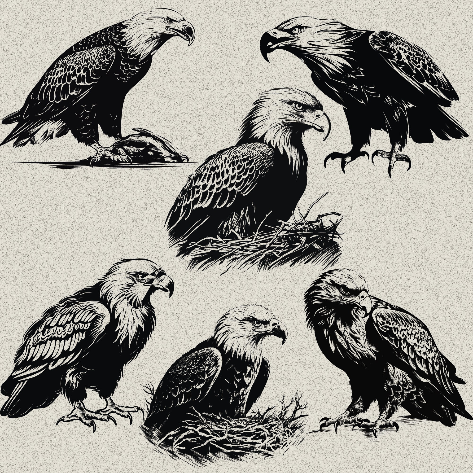 32 Eagle Design Bundle SVG-PNG Detail Designs for Laser Engraving and ...