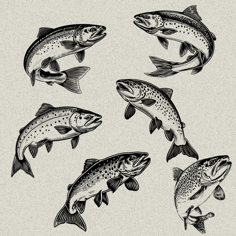 38 Trout Designs Bundle PNG & SVG Digital for Laser Engraving or Print ...