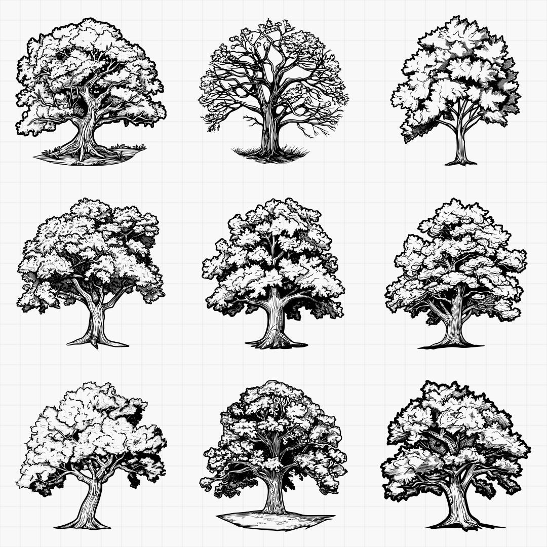 Tree SVG & PNG Bundle Designs for Laser Engraving, Print-on-demand, Oak ...
