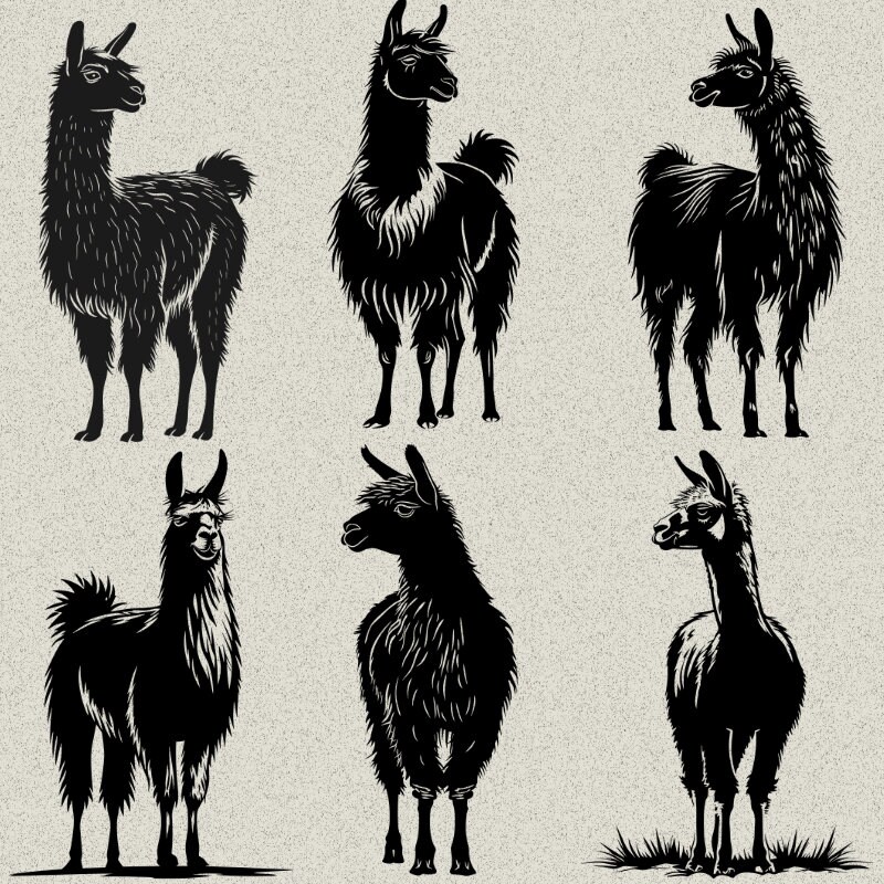 30 Llama and Alpaca Designs Bundle PNG & SVG for Engraving, Print or ...