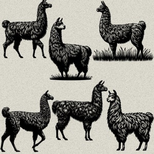 30 Llama and Alpaca Designs Bundle PNG & SVG for Engraving, Print or ...
