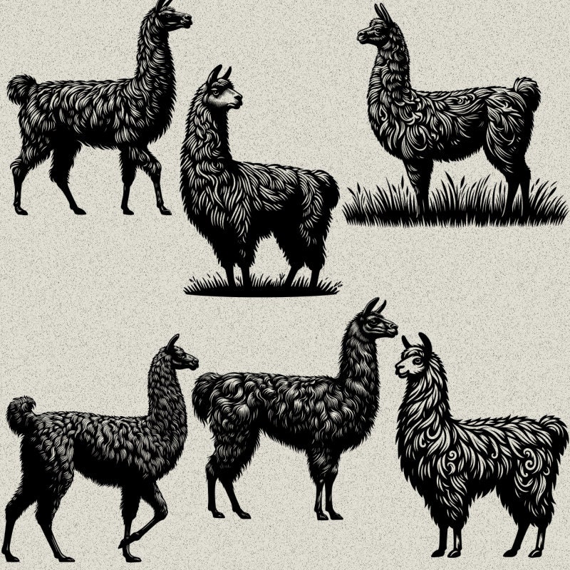 30 Llama and Alpaca Designs Bundle PNG & SVG for Engraving, Print or ... 30 Llama and Alpaca Designs Bundle PNG & SVG for Engraving, Print or ...