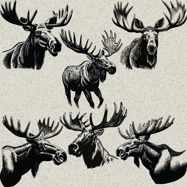 25 Moose Design Bundle PNG & SVG Formats Good for Laser Engraving and ...