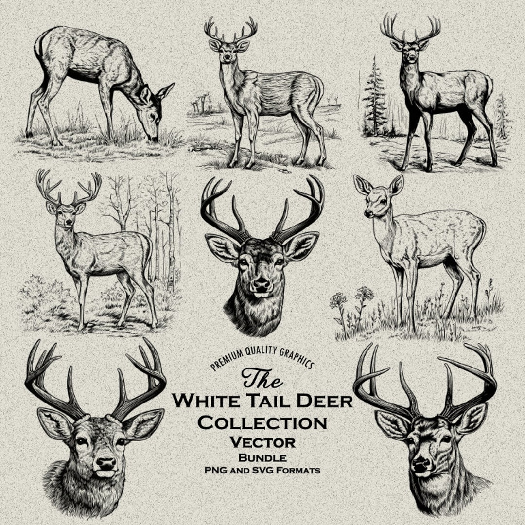 35 White Tail Deer Design Bundle SVG-PNG Detail Designs for Laser ...