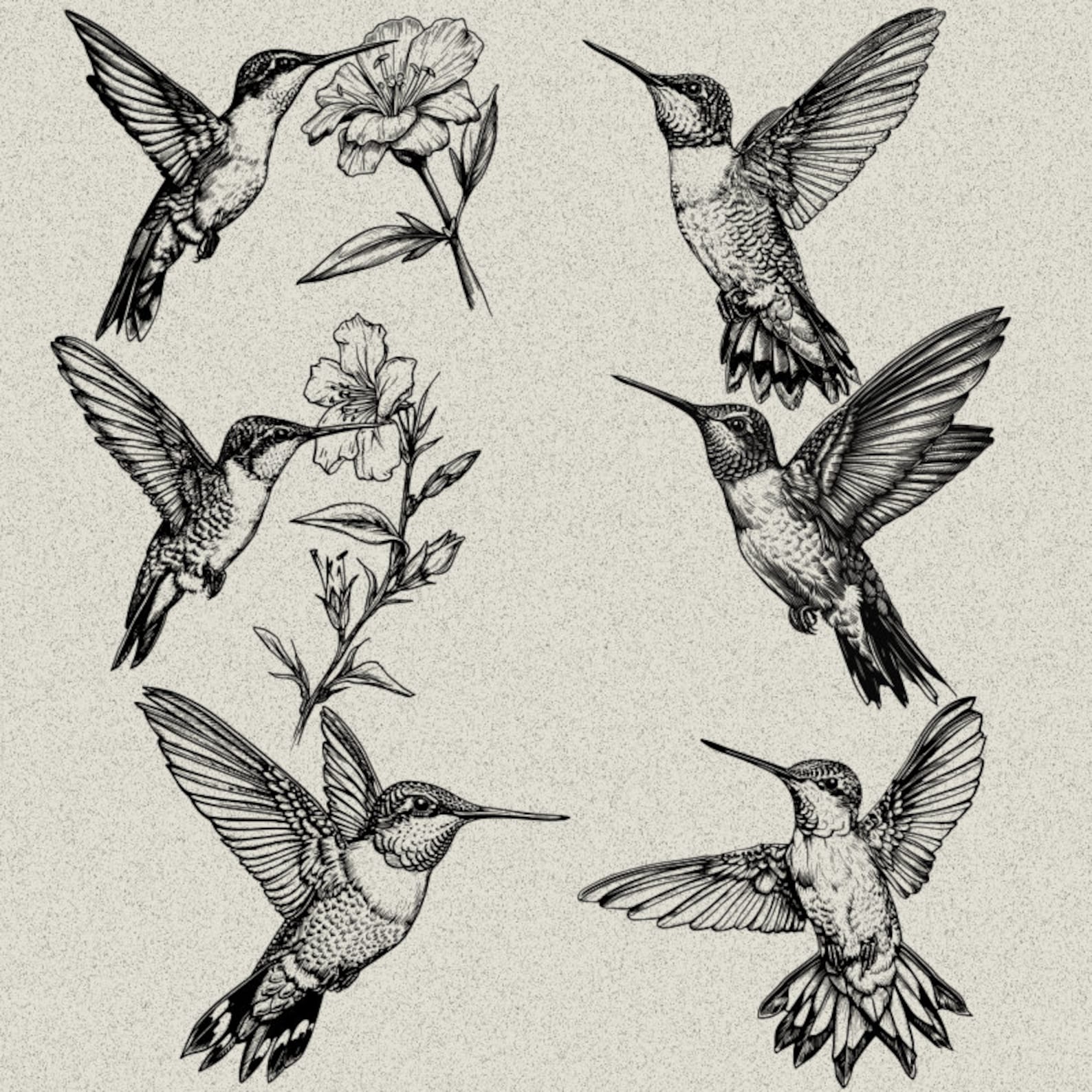 36 Humming Bird Designs Bundle PNG & SVG Digital for Laser Engraving or ...