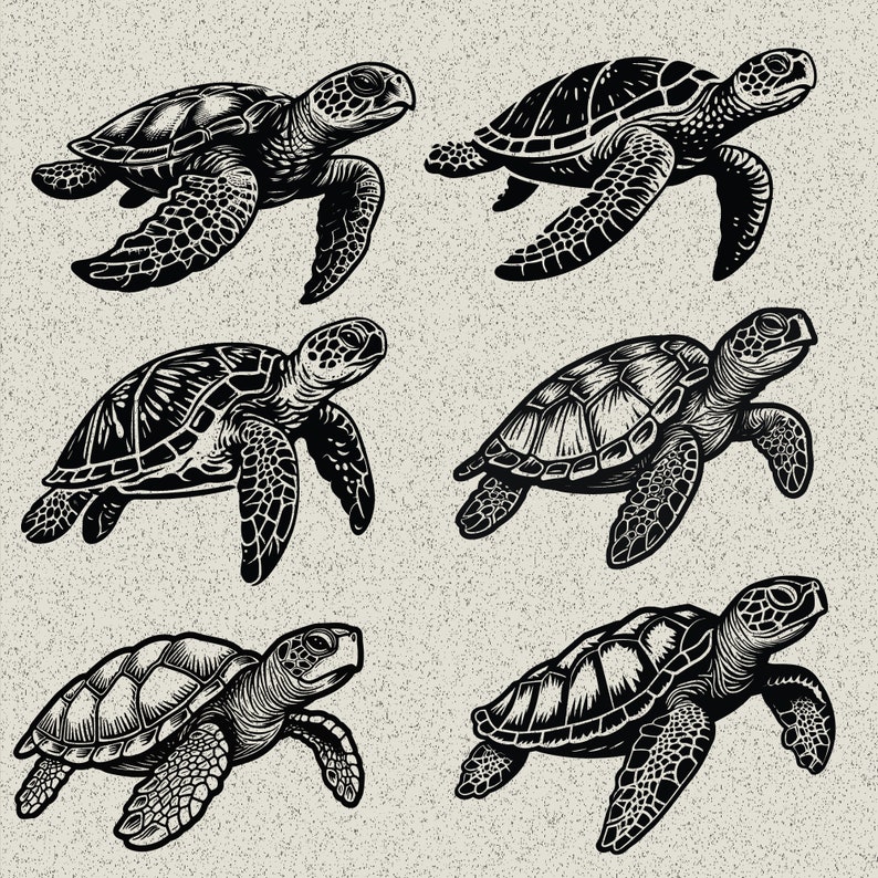34 Sea Turtle Graphics SVG and PNG Bundle: Laser Engraver and Print ...