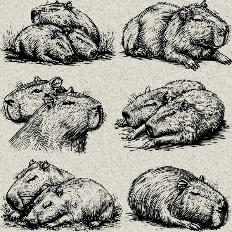 30 Capybara Designs Bundle SVG & PNG for Laser Engraving or Print, Capy ...