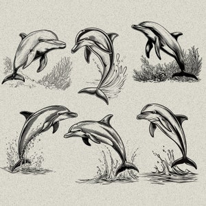 40 Dolphin Designs Bundle PNG & SVG for Laser Engraving or Print ...