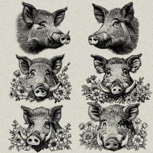 36 Wild Boar Detailed Designs Bundle PNG & SVG for Laser Engraving or ...