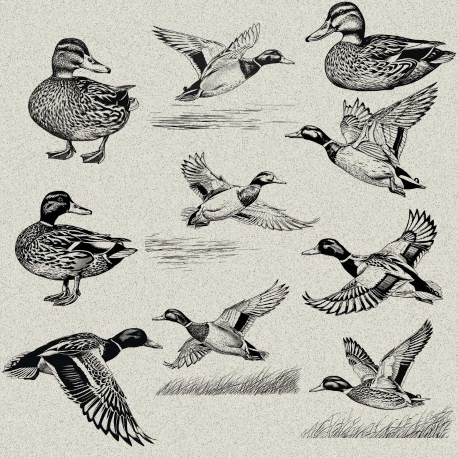 62 Duck Designs Bundle PNG & SVG Digital for Laser Engraving or Print ...