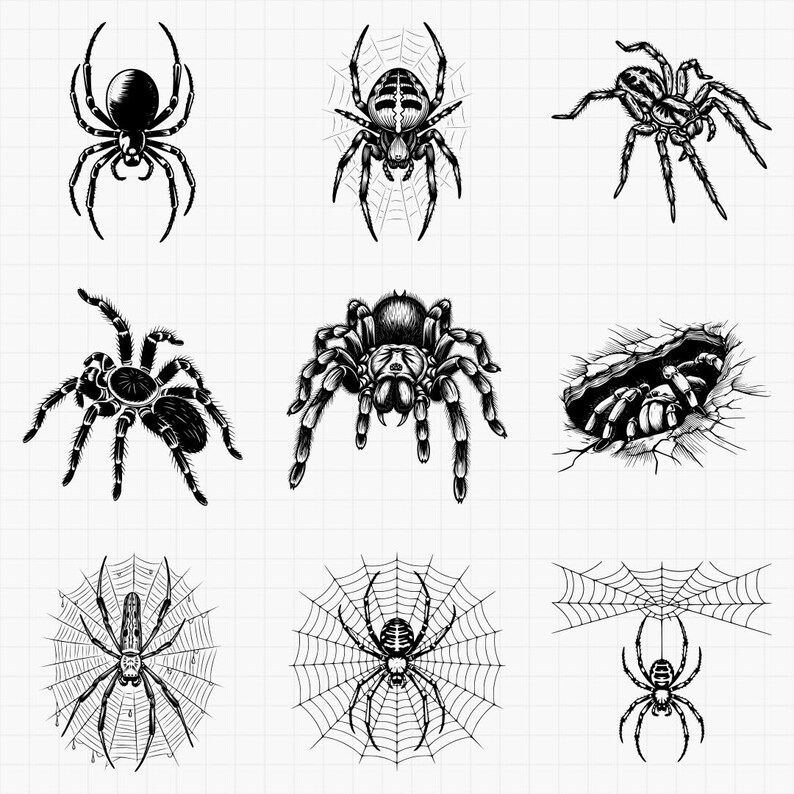 Spider Designs Great for Laser Engraving, SVG & PNG for Glowforge Xtool ...