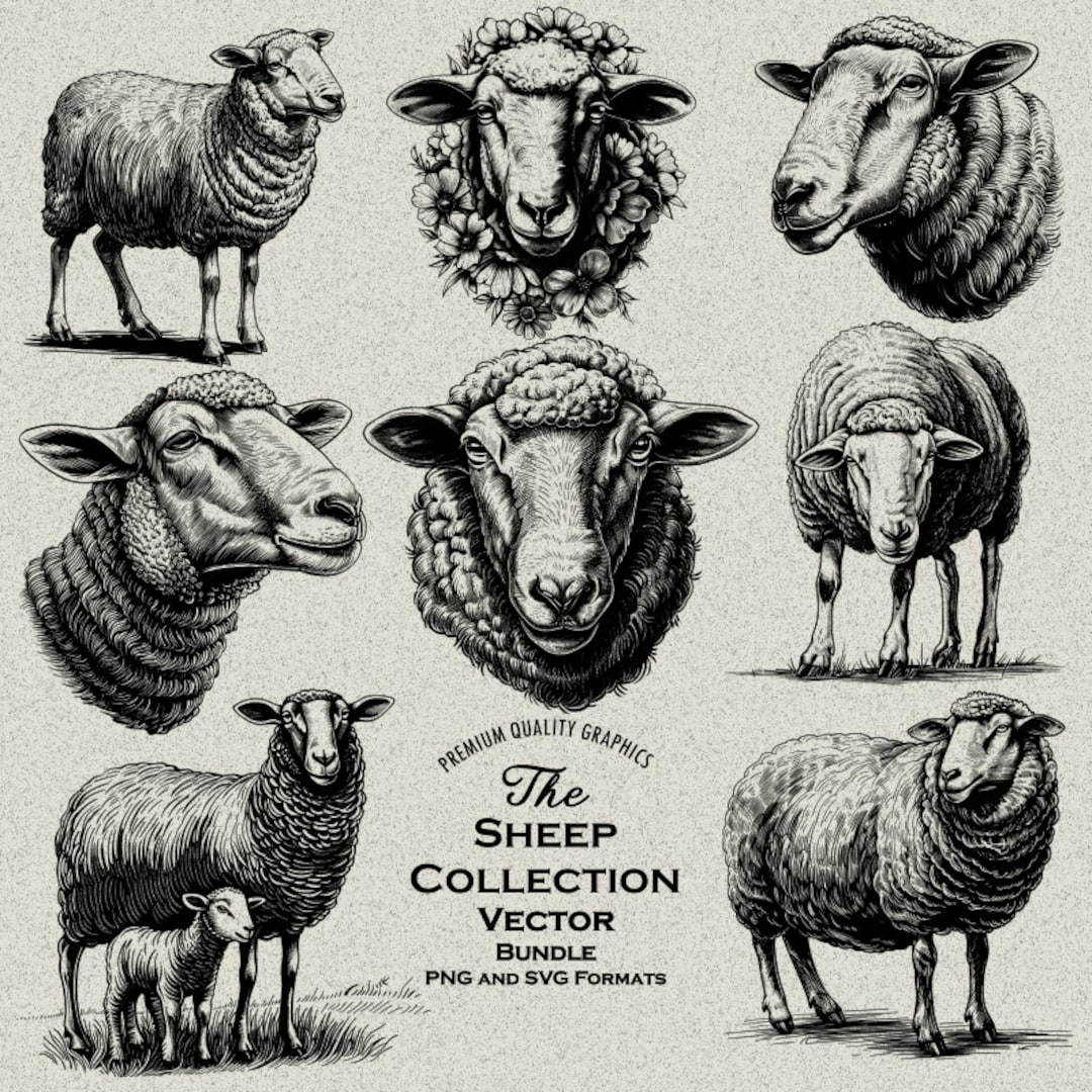 27 Sheep Designs Bundle PNG & SVG Digital for Laser Engraving or Print, Lamb, Baby Sheep, Farm ...
