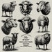 27 Sheep Designs Bundle PNG & SVG Digital for Laser Engraving or Print ...