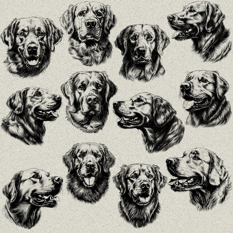 40 Golden Retriever Dog Designs Bundle SVG & PNG for Laser Engraving or ...