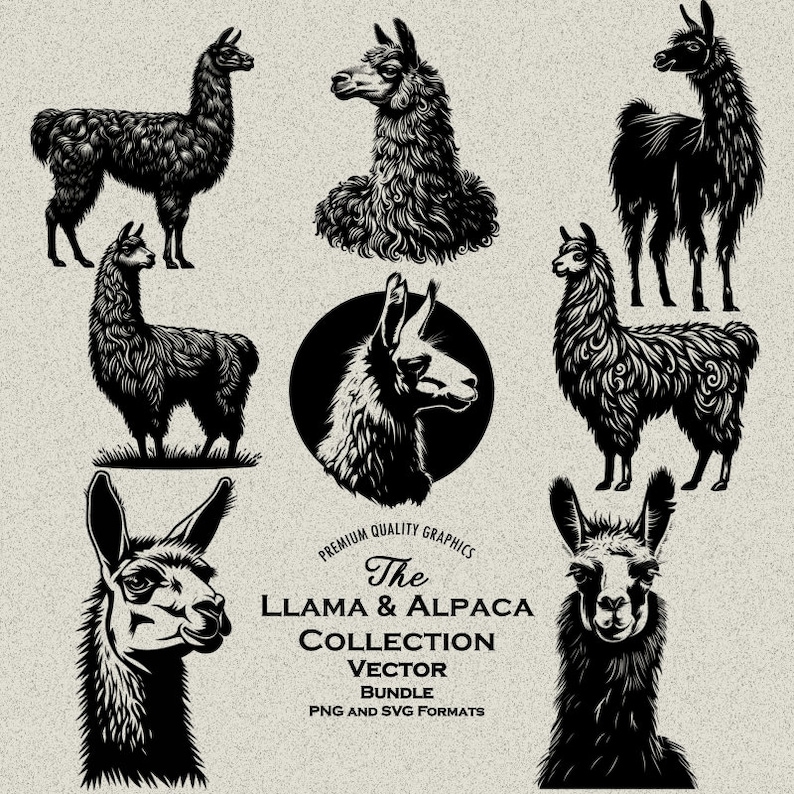 30 Llama and Alpaca Designs Bundle PNG & SVG for Engraving, Print or ...