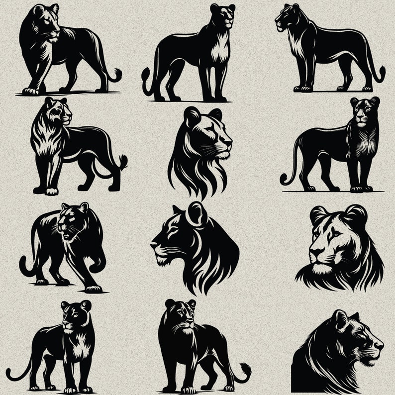 84 Lion Designs Bundle Simple Low Detail Lion SVG and PNG Files Good ...